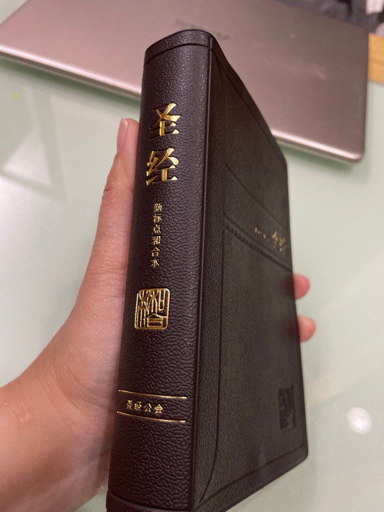Chinese Union Version CUV Bible, Compact Size Small Print, Hobbies ...