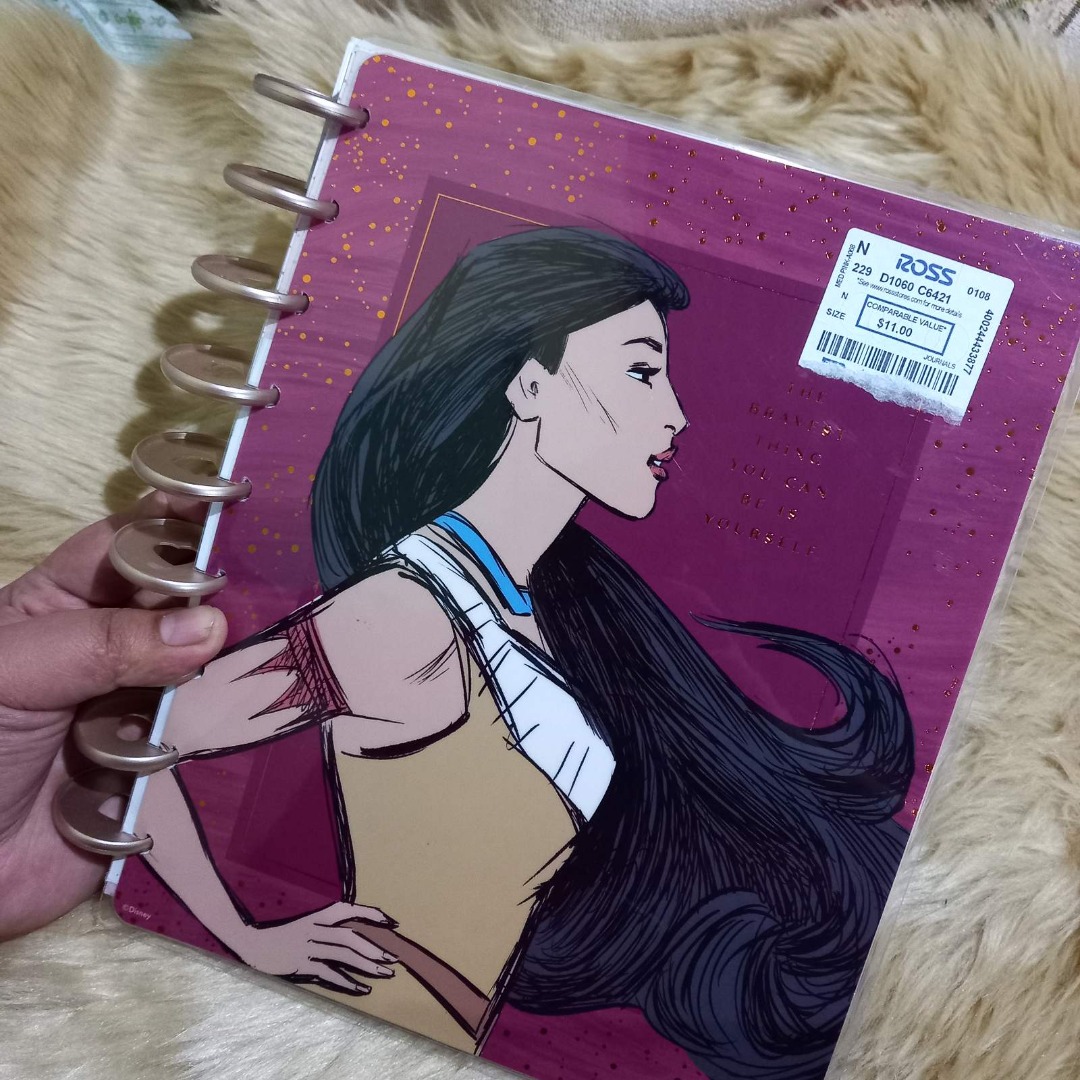 Disney Princess Notebook/Planner (can be or for journaling), Hobbies ...