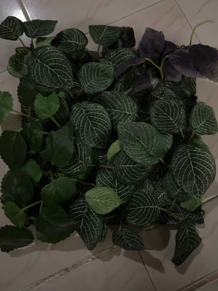 fejka wall plant, Furniture & Home Living, Home Decor, Wall Decor on ...