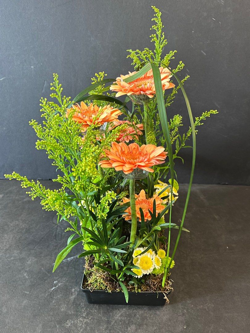 Fresh natural flower display, Furniture & Home Living, Home Decor ...