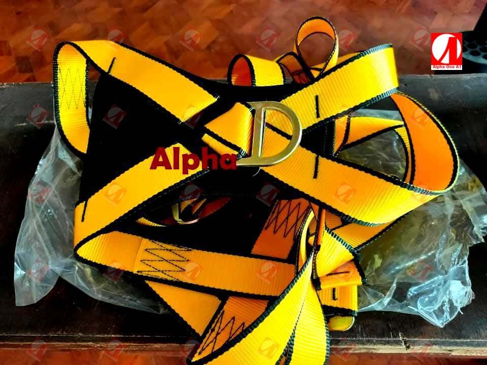 FULL BODY SAFETY HARNESS WITH DOUBLE WEBBING LANYARD, Commercial ...