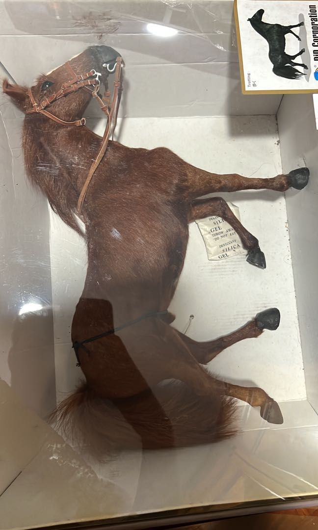 HOT 3R 1/6 WW2 IMPERIAL JAPANESE ARMY 21ST DIVISION MAJOR ITO (horse included), Hobbies & Toys ...