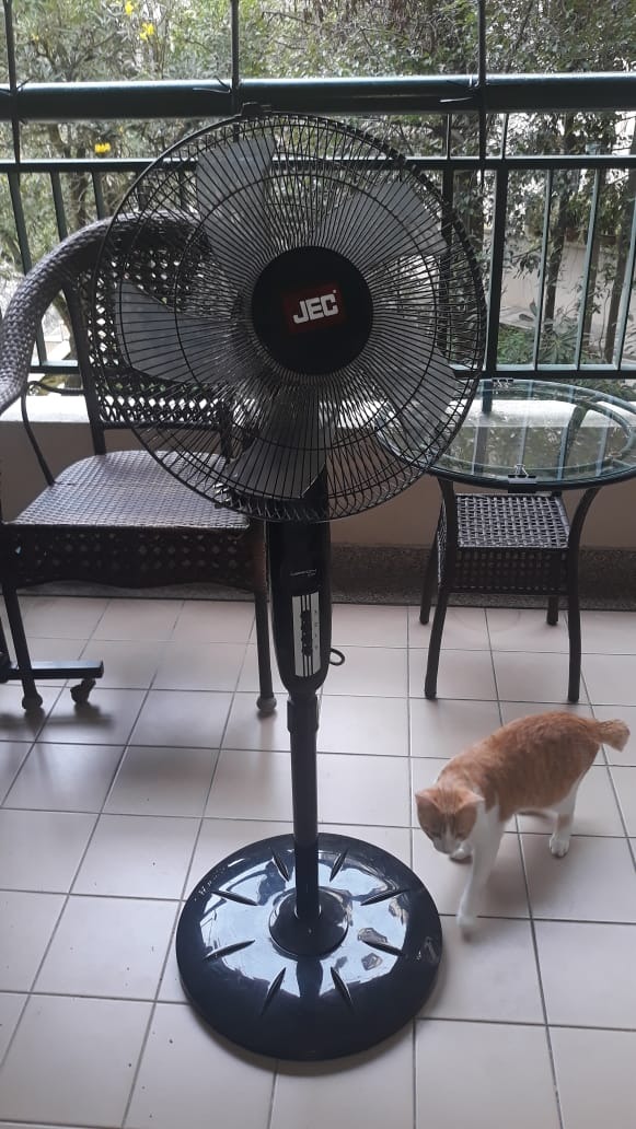 NIPPON NSF-162(BL) STAND FAN 16" (Black), TV & Home Appliances, Other ...