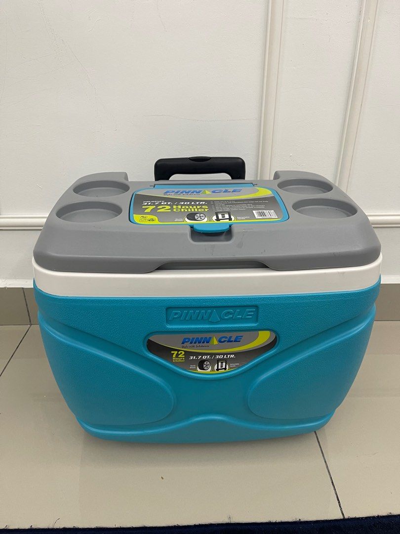 Pinnacle Chiller Box Cool Box, Hobbies & Toys, Travel, Travel ...