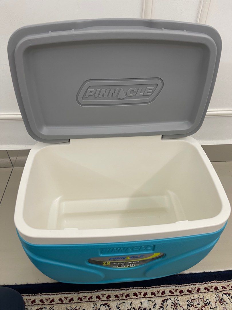 Pinnacle Chiller Box Cool Box, Hobbies & Toys, Travel, Travel ...