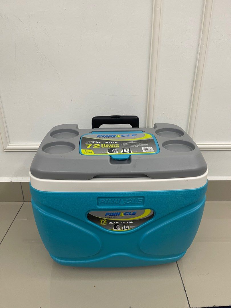 Pinnacle Chiller Box Cool Box, Hobbies & Toys, Travel, Travel ...