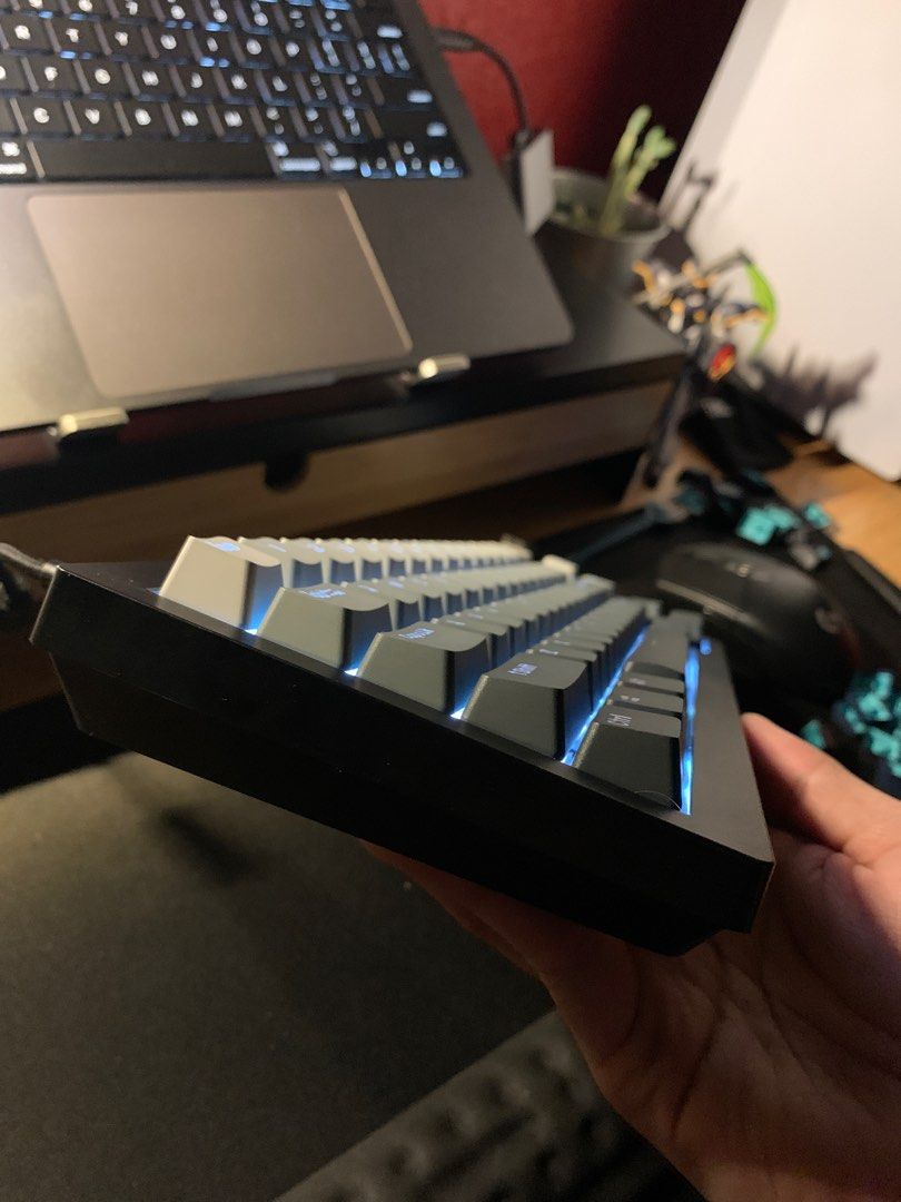 Polar Day Gray Gradient PBT Keycaps - OEM Profile, Computers & Tech ...