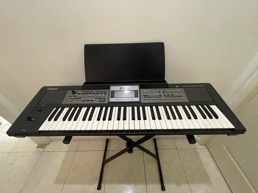 Roland E-09, Hobbies & Toys, Music & Media, Musical Instruments on ...