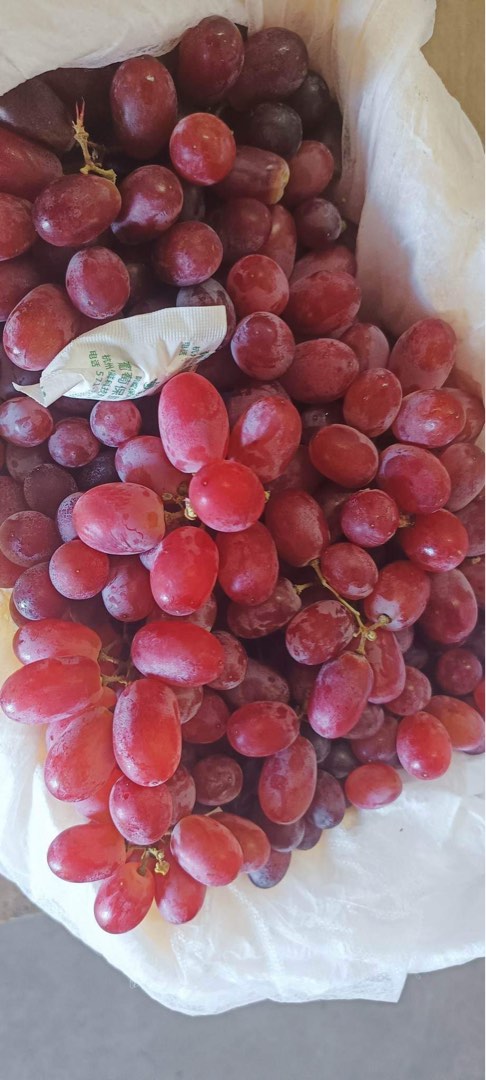 SEEDLESS GRAPES 2kg to 2.5 With crates, Food & Drinks, Fresh Produce on ...