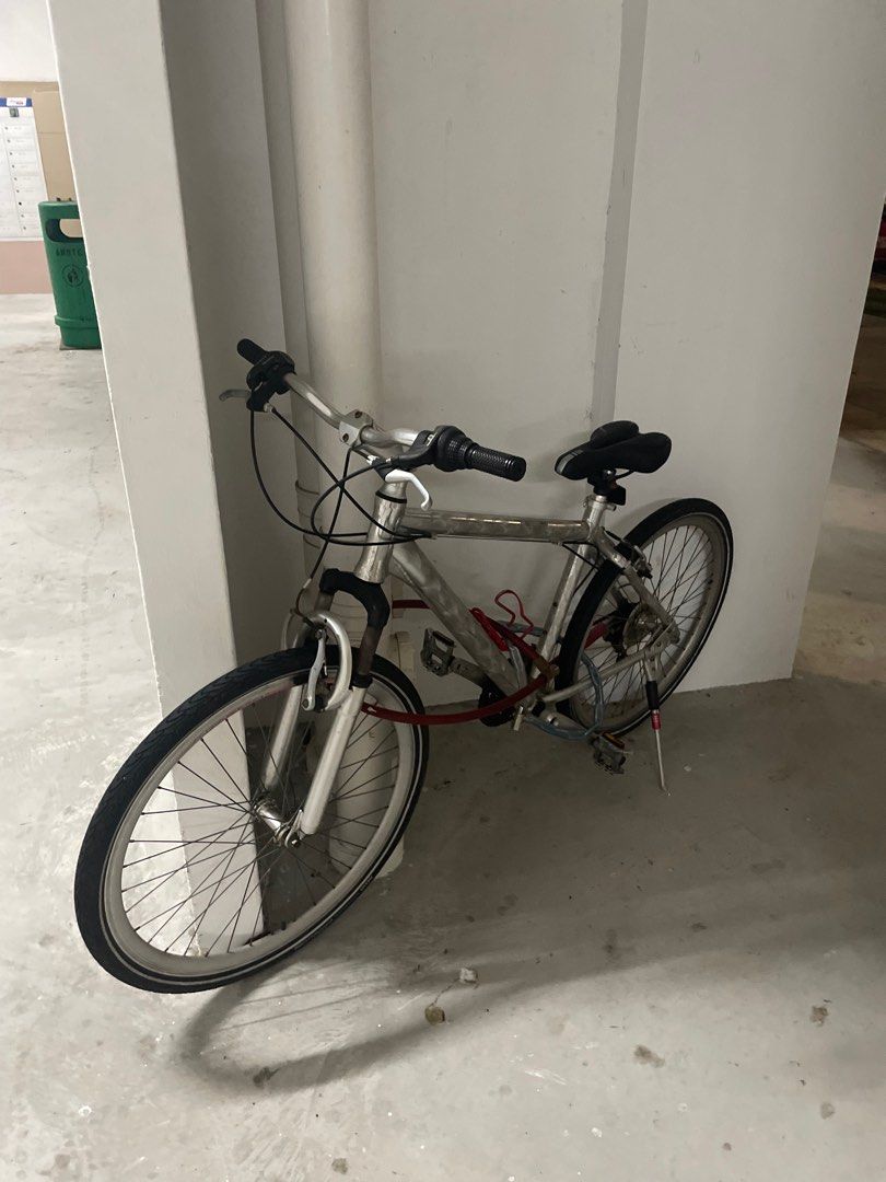 Silver mountain bike, Sports Equipment, Bicycles & Parts, Bicycles on ...