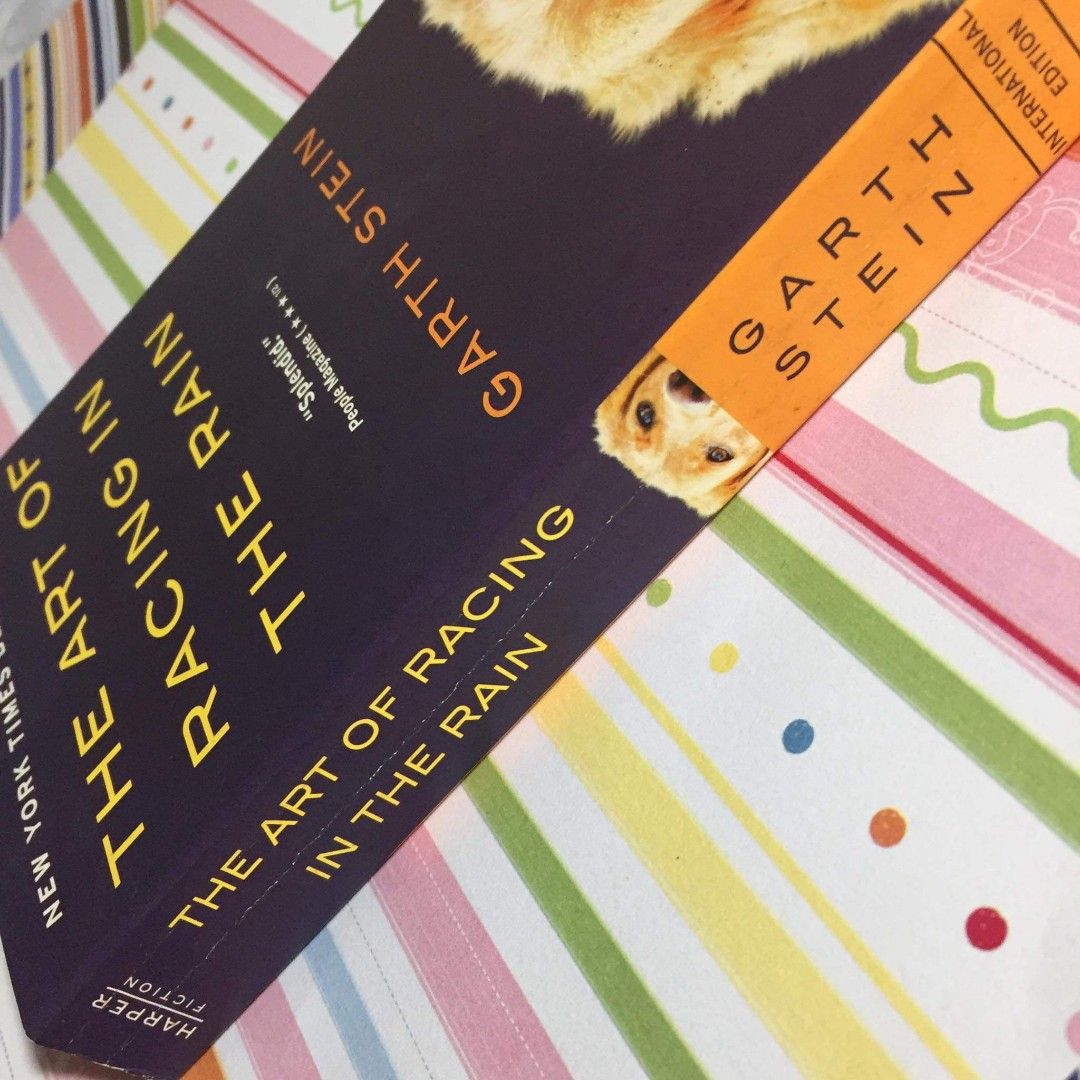 The Art of Racing in the Rain by Garth Stein, Hobbies & Toys, Books ...