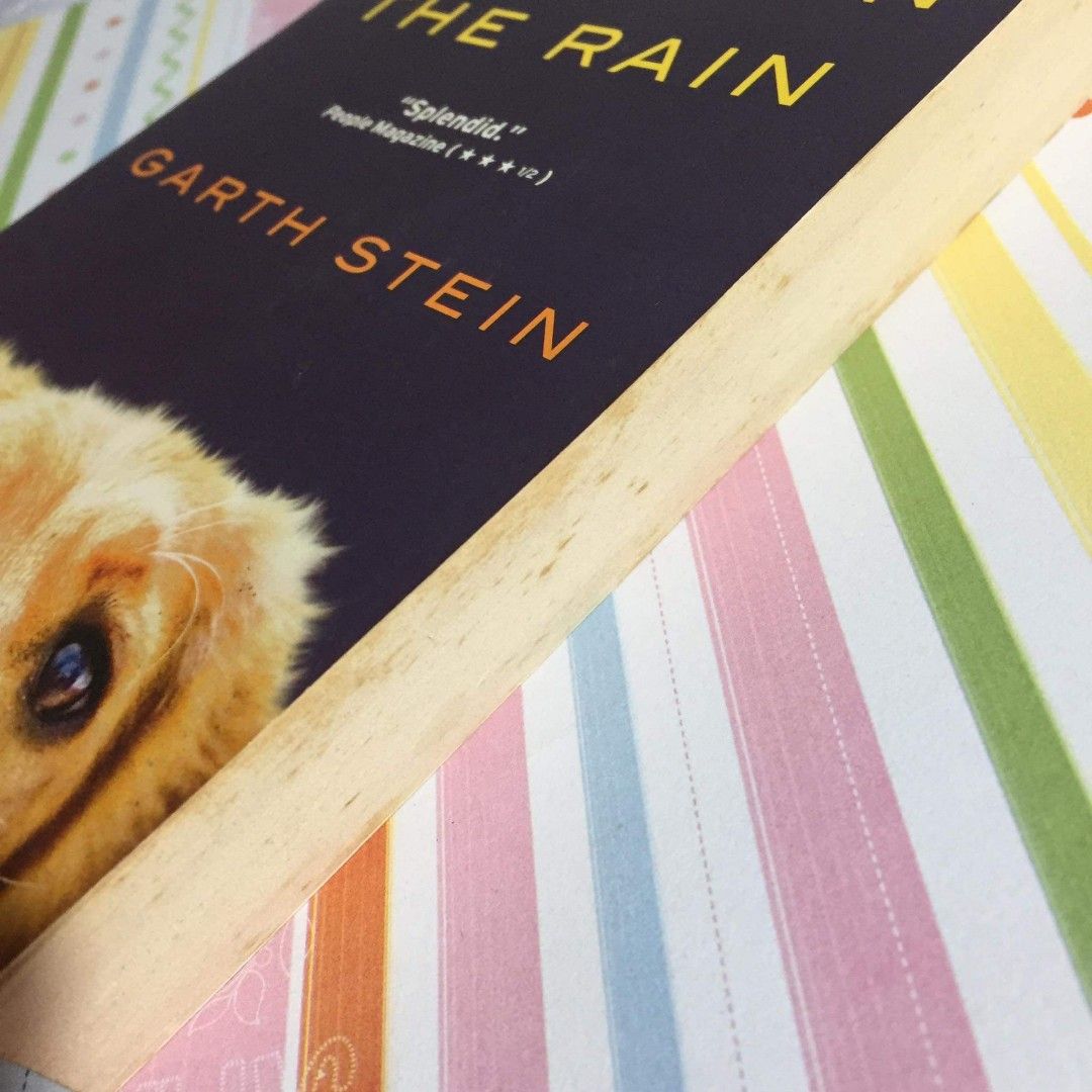 The Art of Racing in the Rain by Garth Stein, Hobbies & Toys, Books & Magazines, Fiction & Non ...