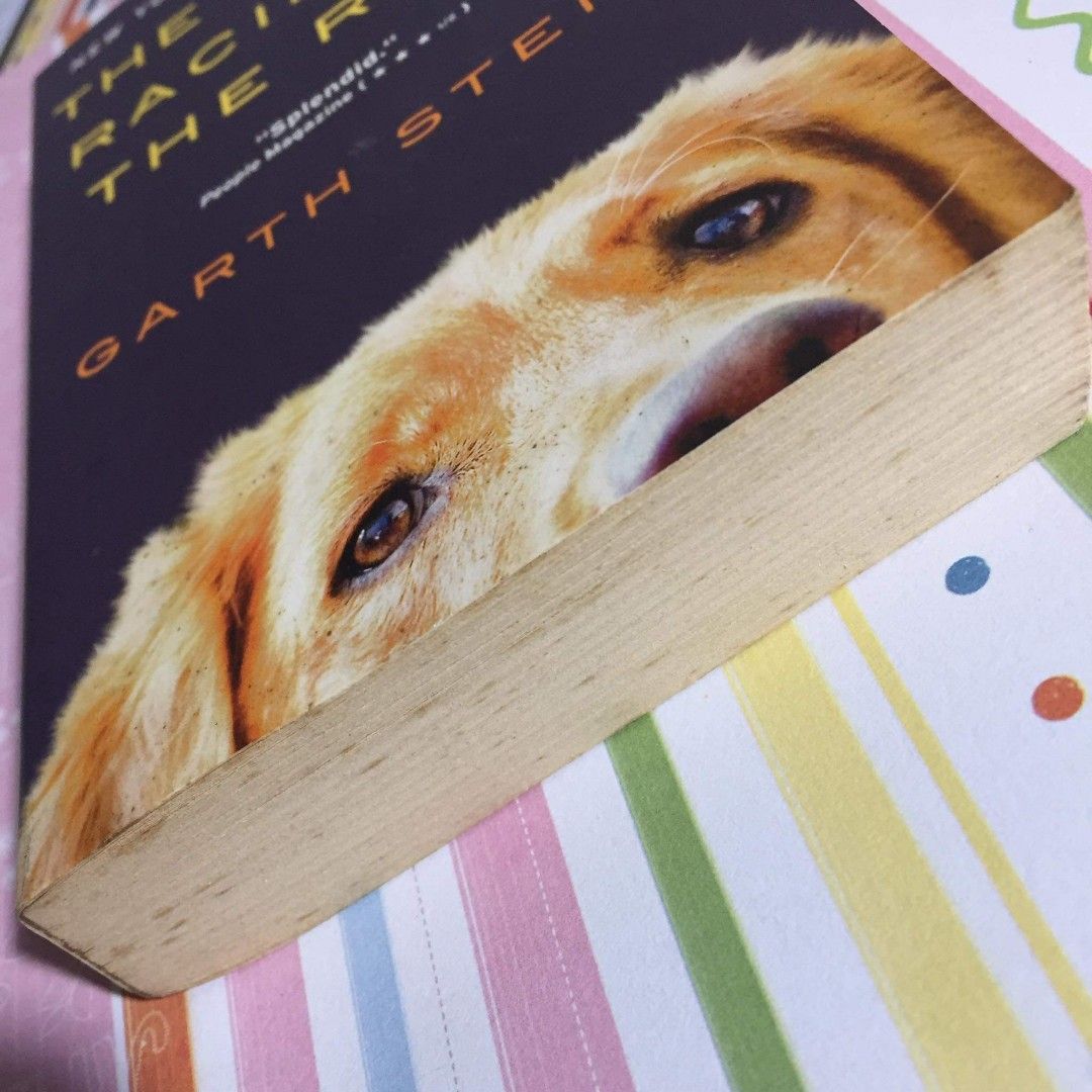 The Art of Racing in the Rain by Garth Stein, Hobbies & Toys, Books & Magazines, Fiction & Non ...