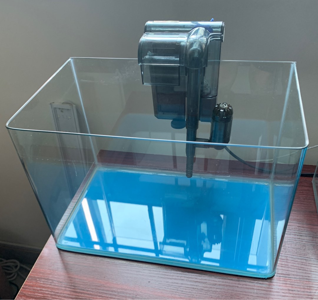 35x21x23cmH Curve Glass Tank c/w top hung filter, Pet Supplies, Homes ...
