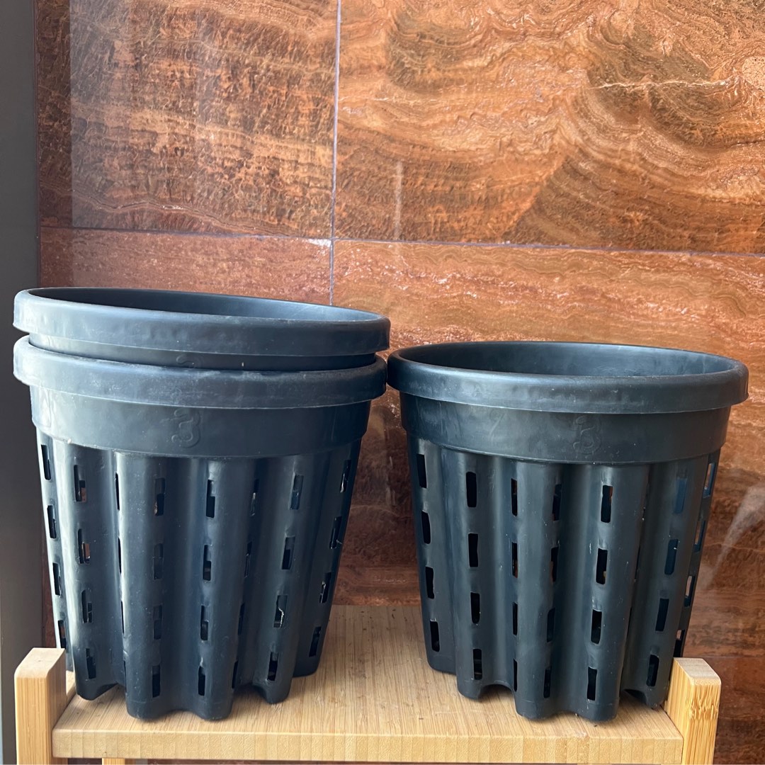 Air roots grow pot - 3L (17cm height x 17cm dia), Furniture & Home ...