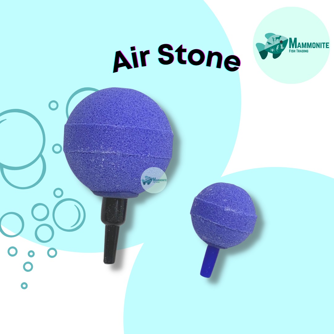Aquarium Air Stone Round Bubble Producing for Air Pump 1 inch 2 inches, Pet Supplies, Homes ...