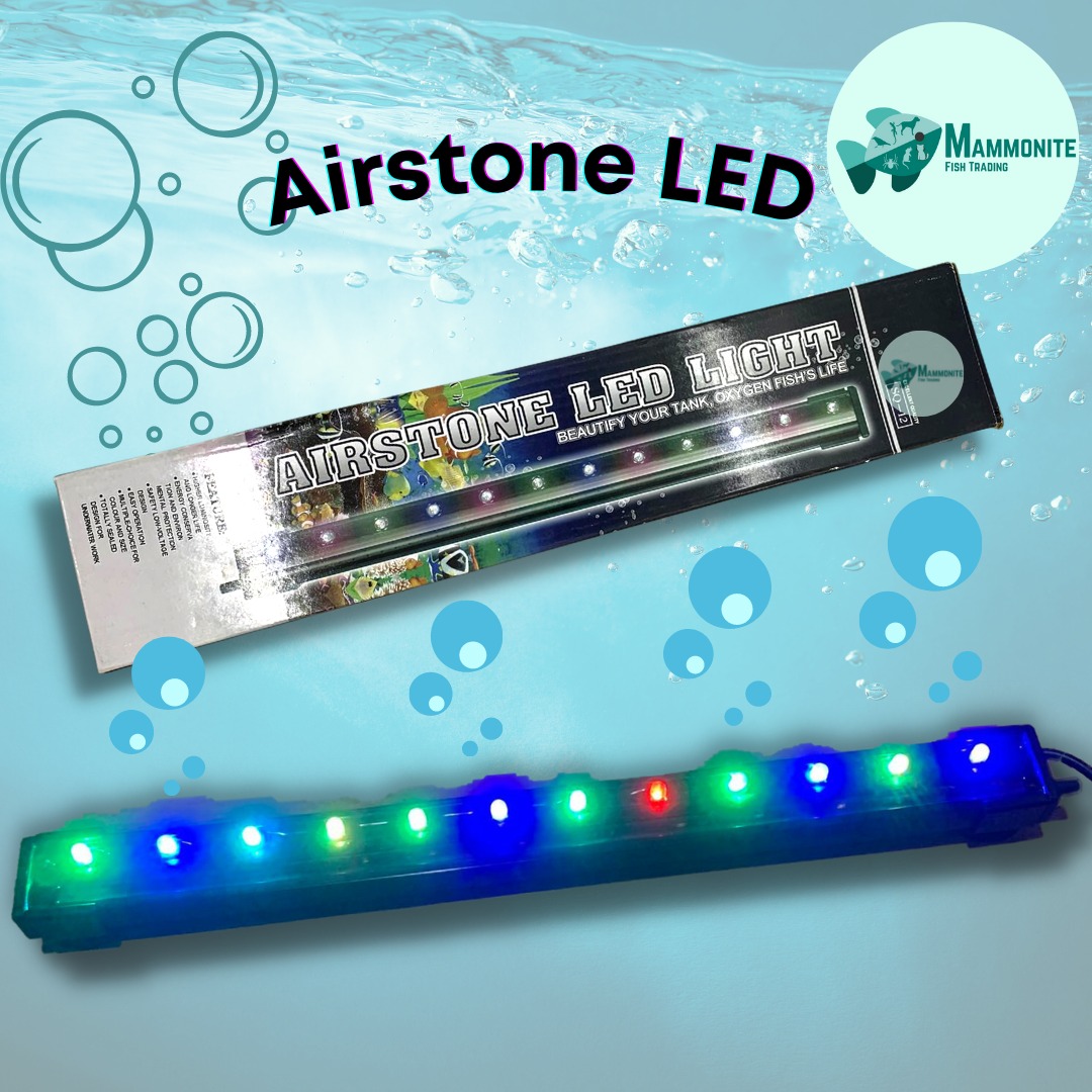 Aquarium Tank Airstone LED Light Bubble Producing SQ-12, Pet Supplies ...