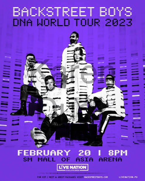 Backstreet Boys VIP 1 and Lower Box Premium Tickets, Tickets & Vouchers ...