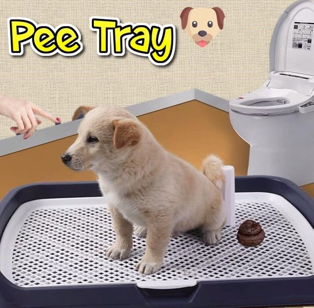 Dog Pee Tray with Pole Large Enclosed, Pet Supplies, Homes & Other Pet ...