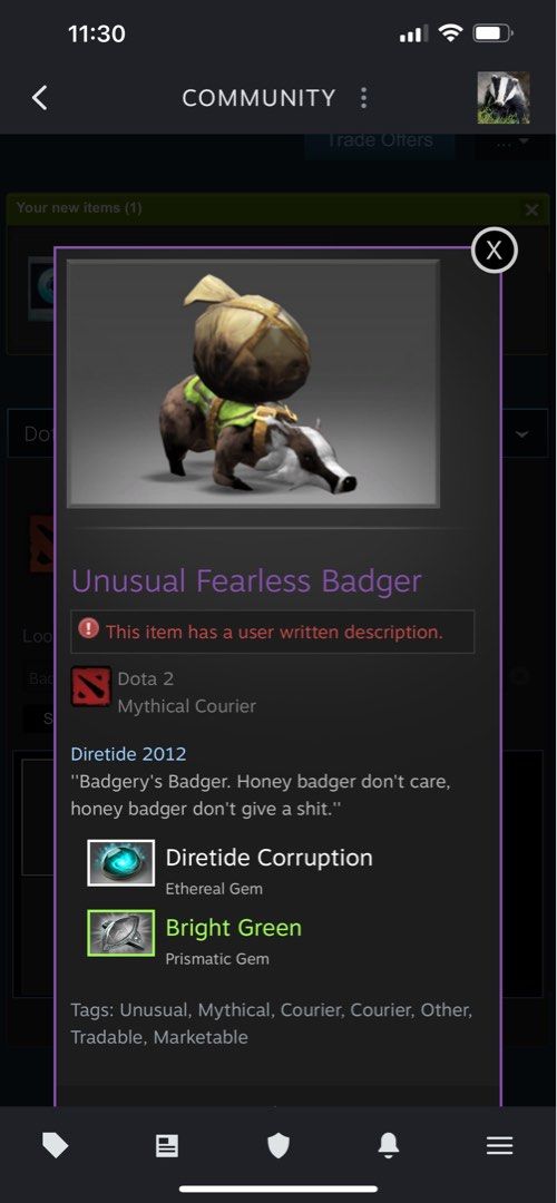 Dota 2 - Unusual fearless badger, Video Gaming, Video Games, Others on Carousell