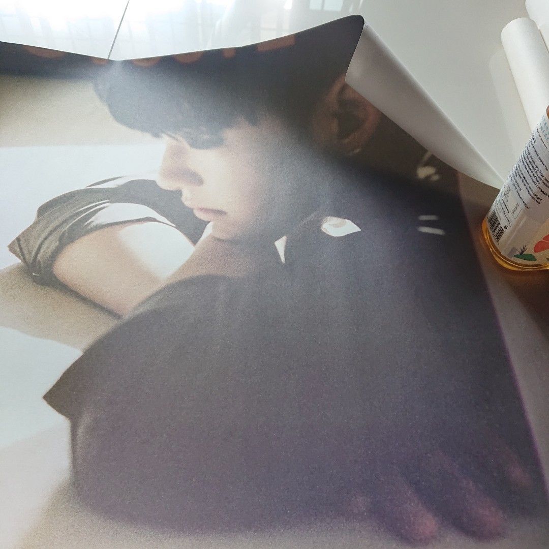 [FREE] SEVENTEEN SVT Hoshi AL1 ALBUM poster bias, Hobbies & Toys ...