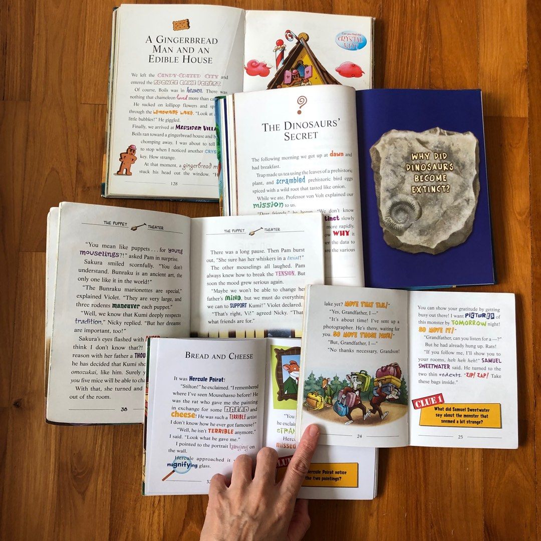 Geronimo Stilton Thea Stilton Diary of a Wimpy Kid story books suitable ...