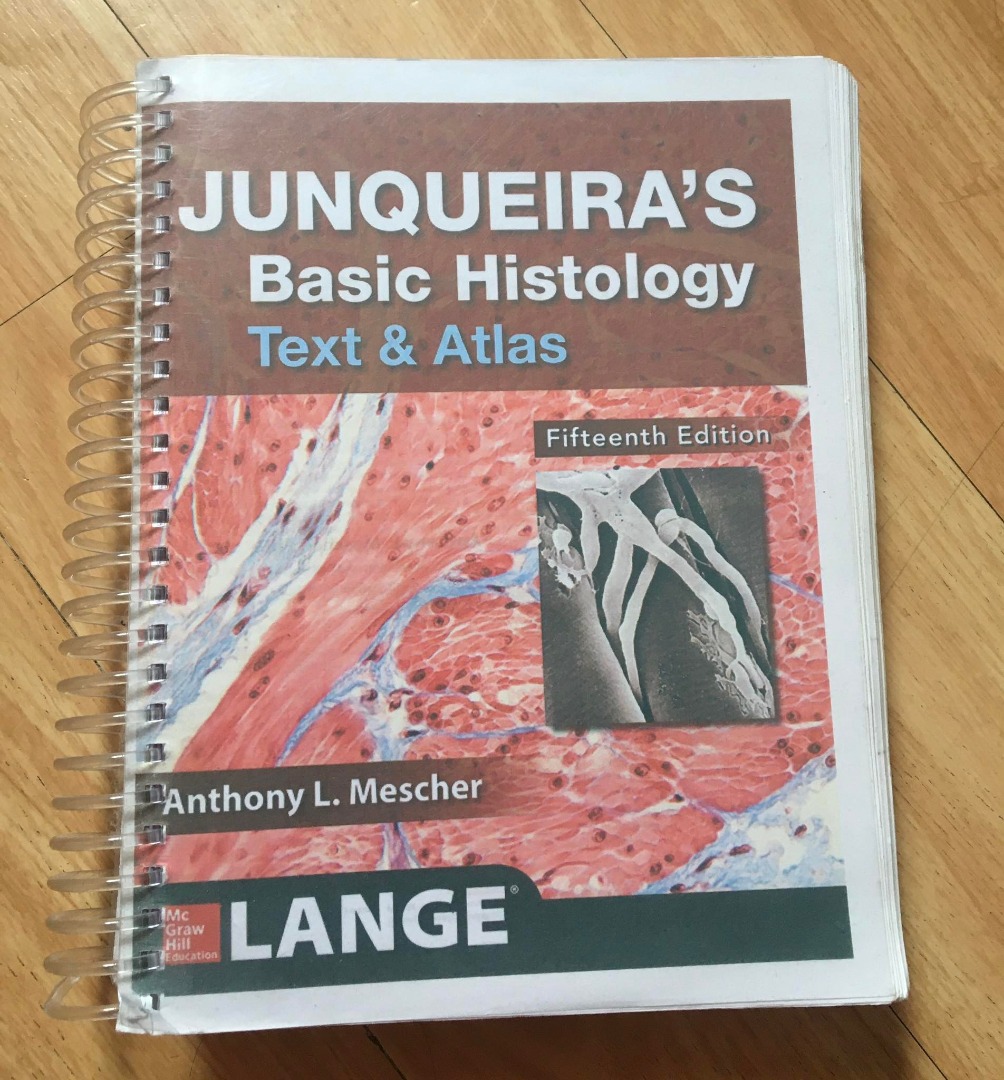 Junqueira's Basic Histology: Text and Atlas by Anthony L. Mescher and L ...