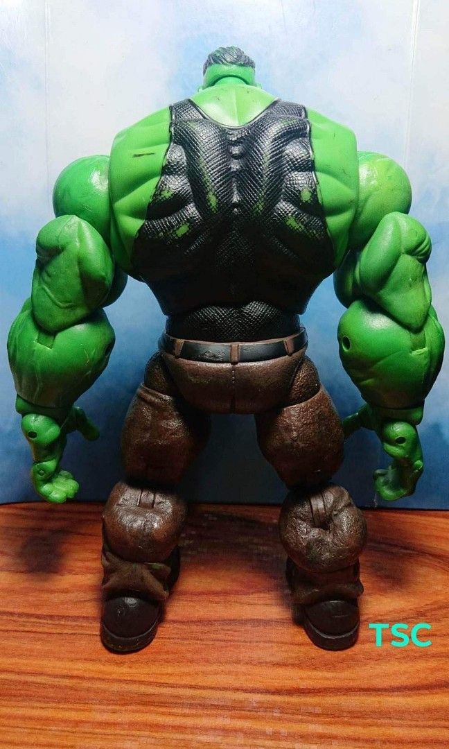 Toybiz Smart Hulk, Hobbies & Toys, Toys & Games on Carousell