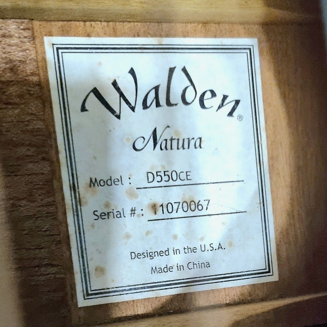 WALDEN D550 CE ACOUSTIC GUITAR, Hobbies & Toys, Music & Media, Musical ...
