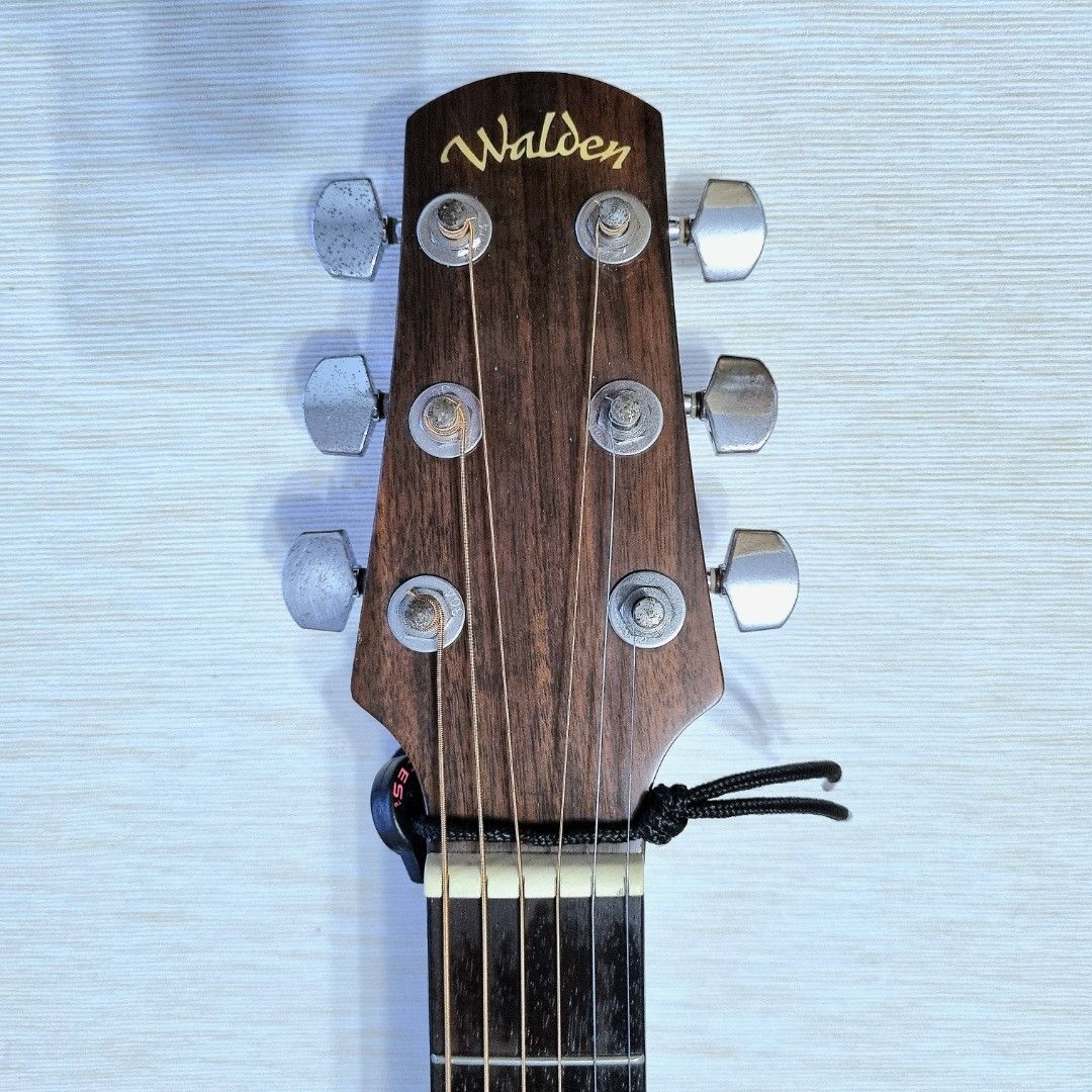 WALDEN D550 CE ACOUSTIC GUITAR, Hobbies & Toys, Music & Media, Musical ...