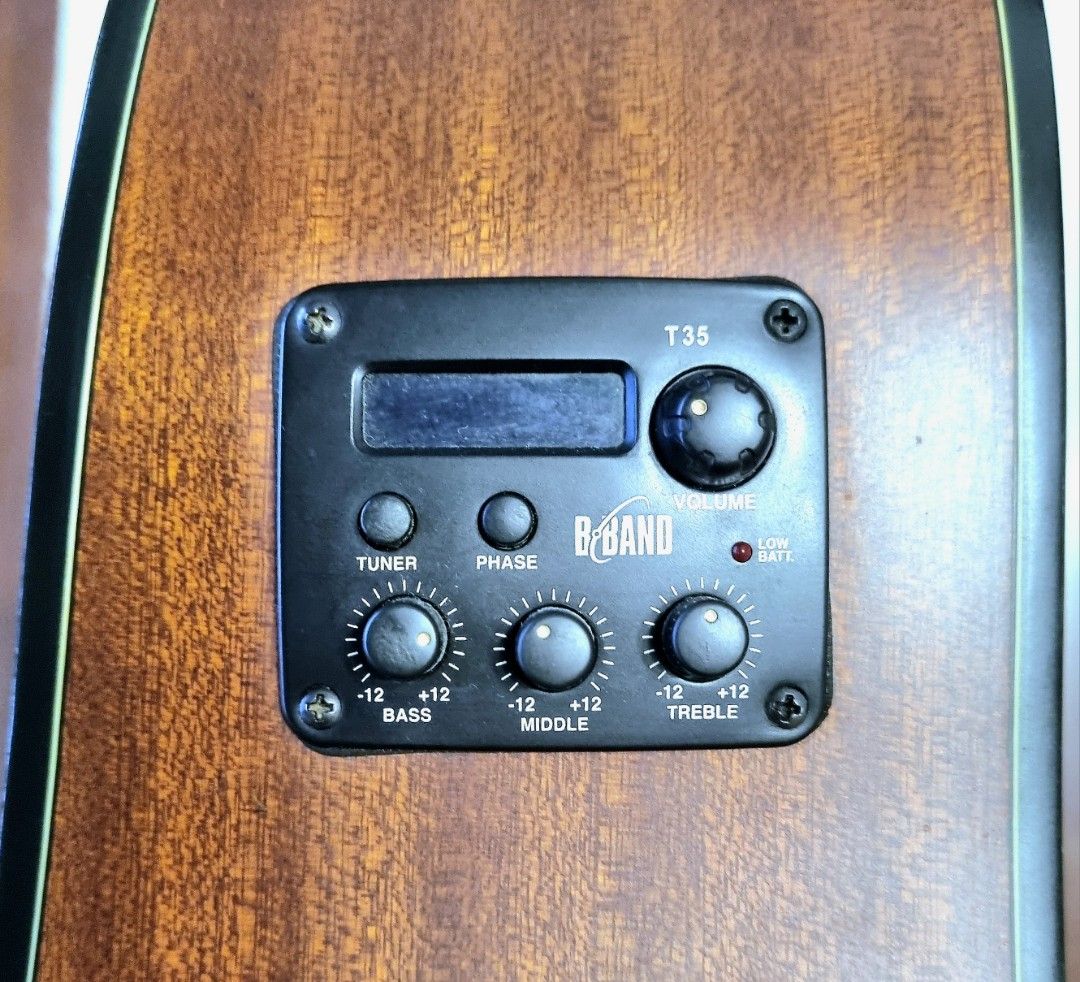 WALDEN D550 CE ACOUSTIC GUITAR, Hobbies & Toys, Music & Media, Musical ...