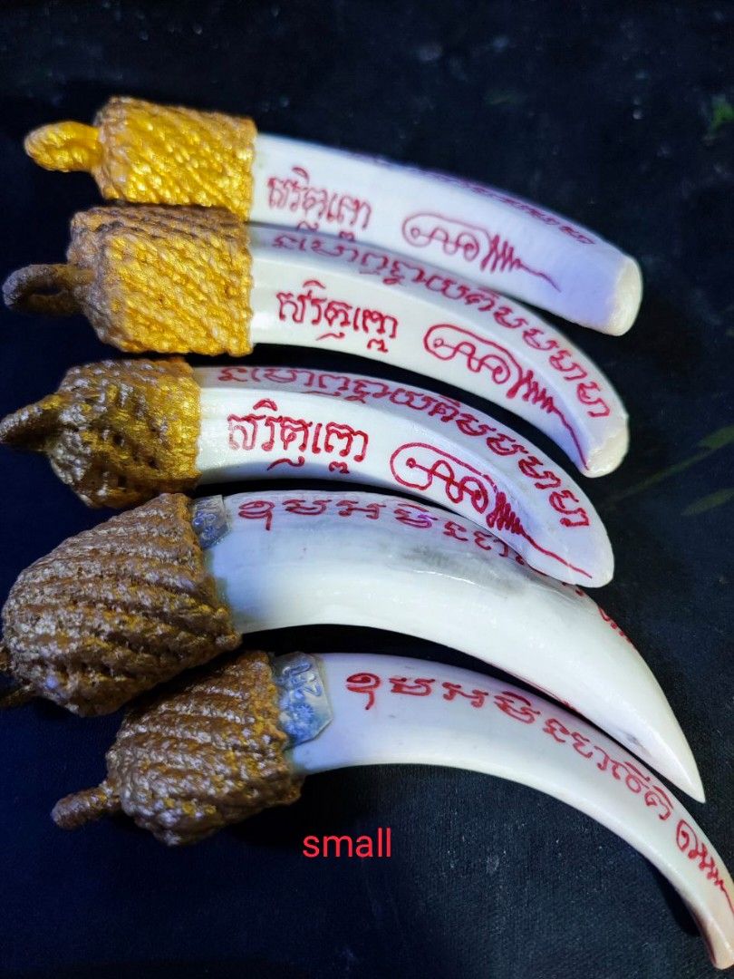 Wild Boar tooth( Kheaw phaya moo udomsap) LP Udomsap BE 2561, Hobbies ...