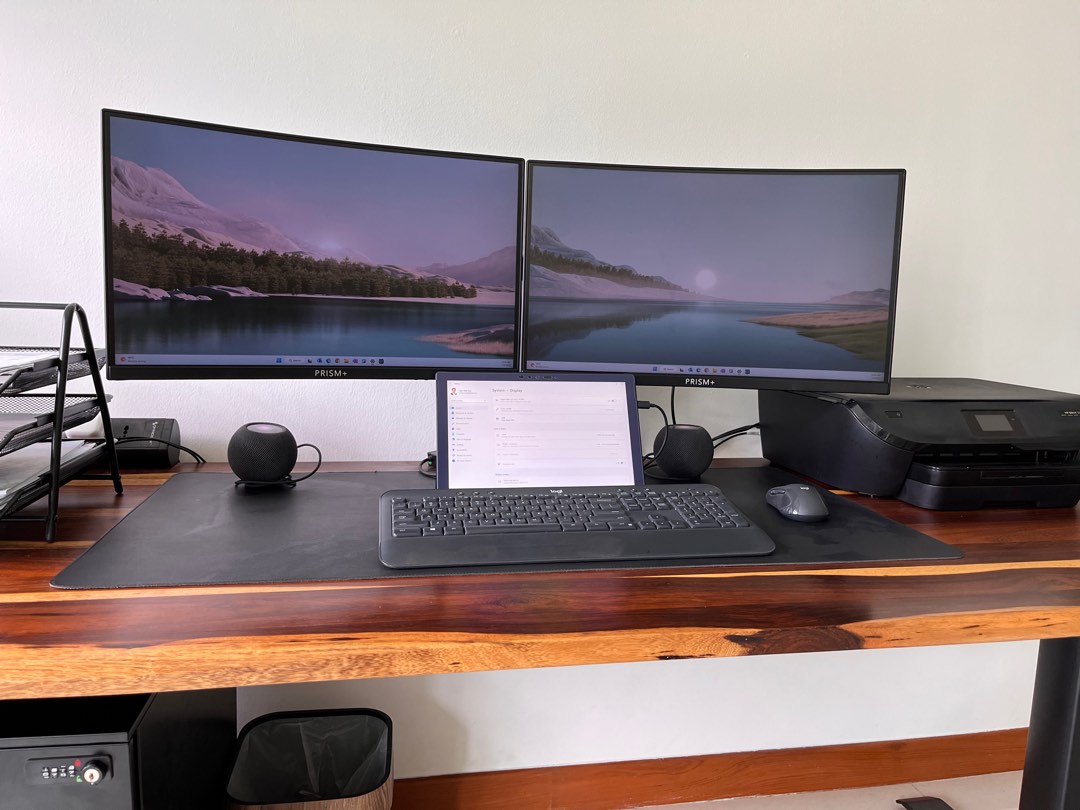 2 Prism+ (C240) Curved 24 inch monitor with Vantage Dual monitor arm ...