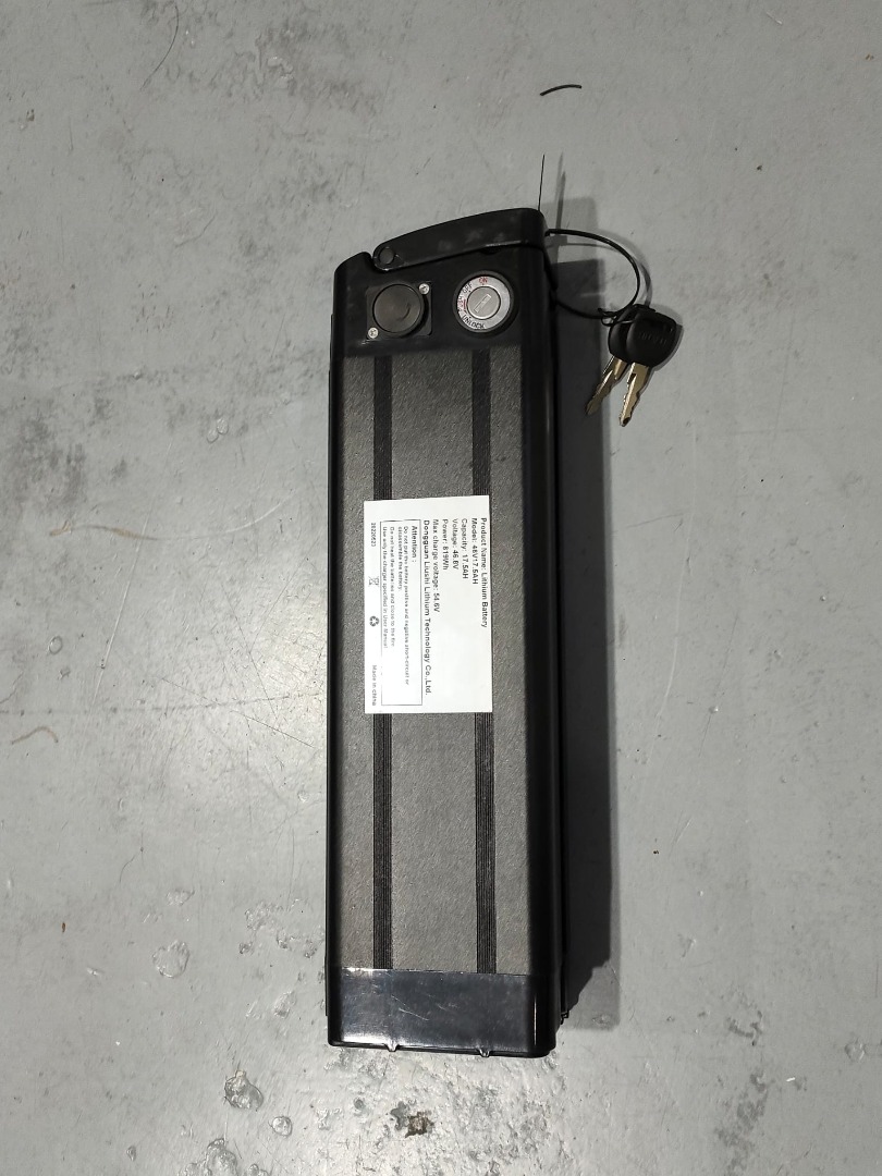 48V 17.5AH Battery (FREE CHARGER INCLUDED), Sports Equipment, PMDs, E ...