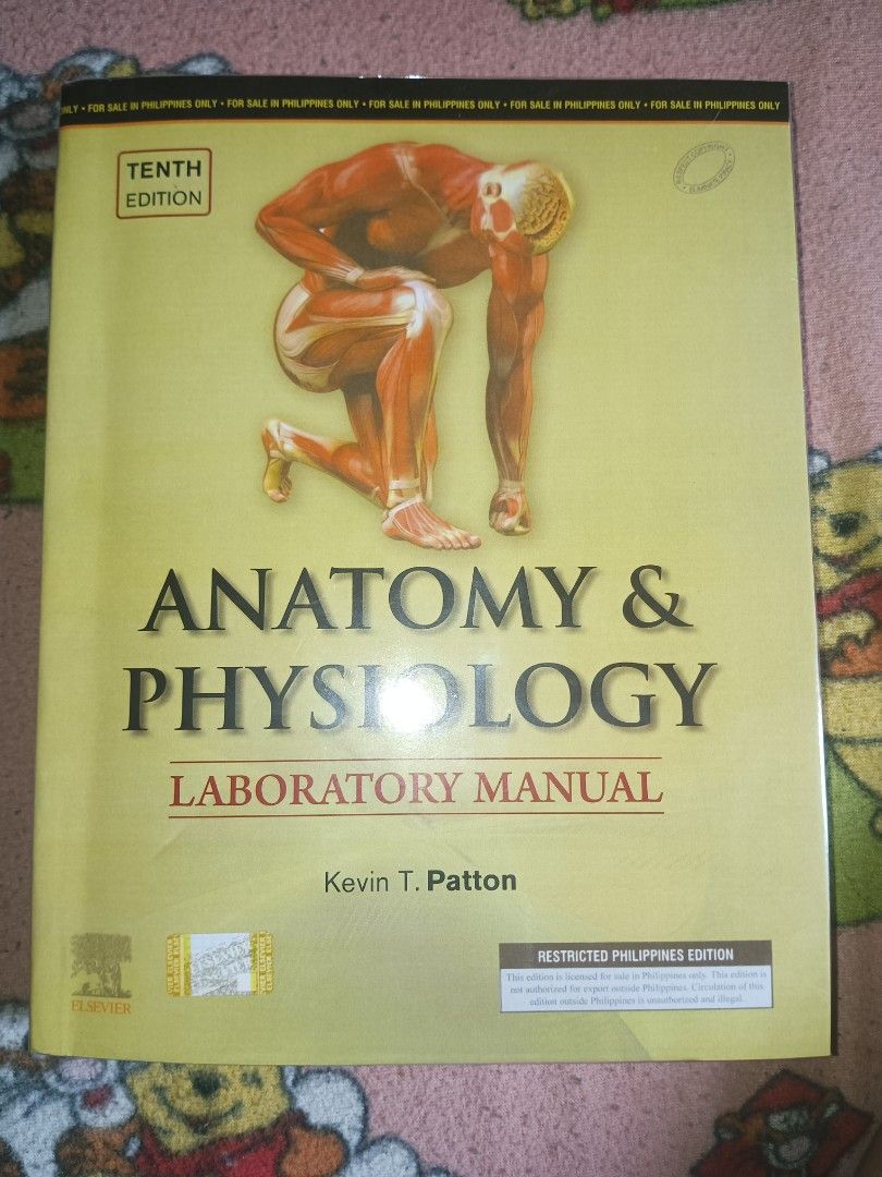 Anatomy And Physiology Lab Manual, Hobbies & Toys, Books & Magazines, Textbooks on Carousell