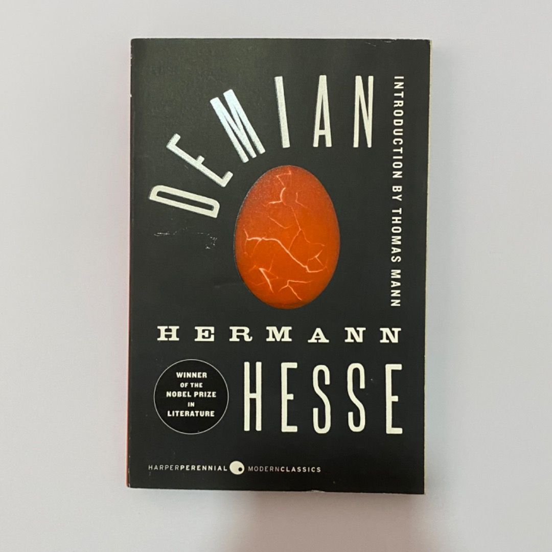 demian by herman hesse [classic literature], Hobbies & Toys, Books ...