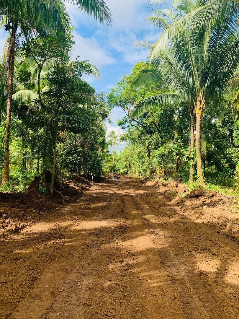Farm lot in Cavite 500 sqm to 1000 sqm for Sale, Property, For Sale ...