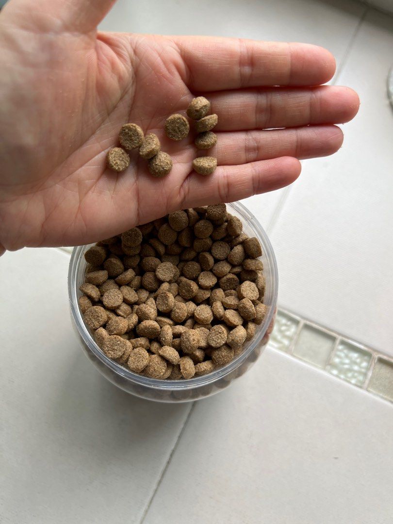 Like A Wolf dog SALMON kibbles 20kg bag, Pet Supplies, Pet Food on ...