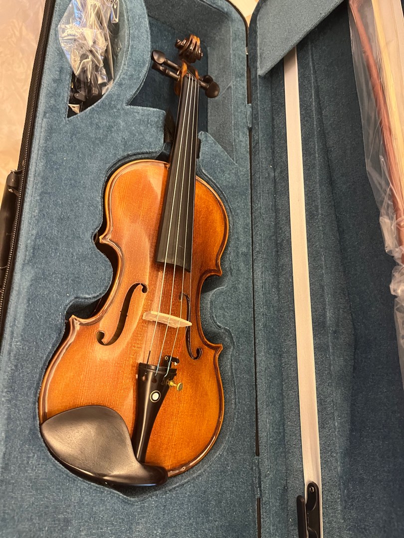 Limited edition one piece back violin 1/4 size, Hobbies & Toys, Music ...