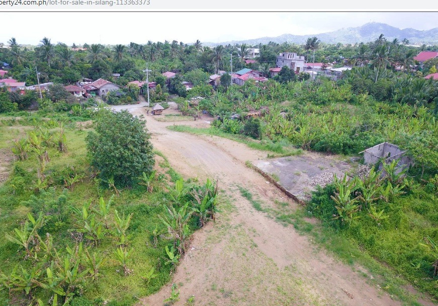 Lot for Sale in Silang Cavite near Maharlika, Property, For Sale, Lot ...