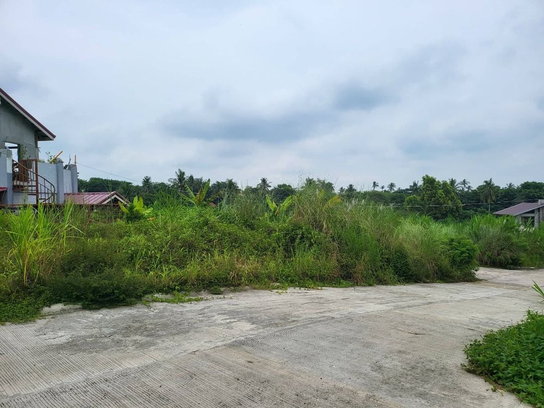Lot for Sale in Silang Cavite near Maharlika, Property, For Sale, Lot ...