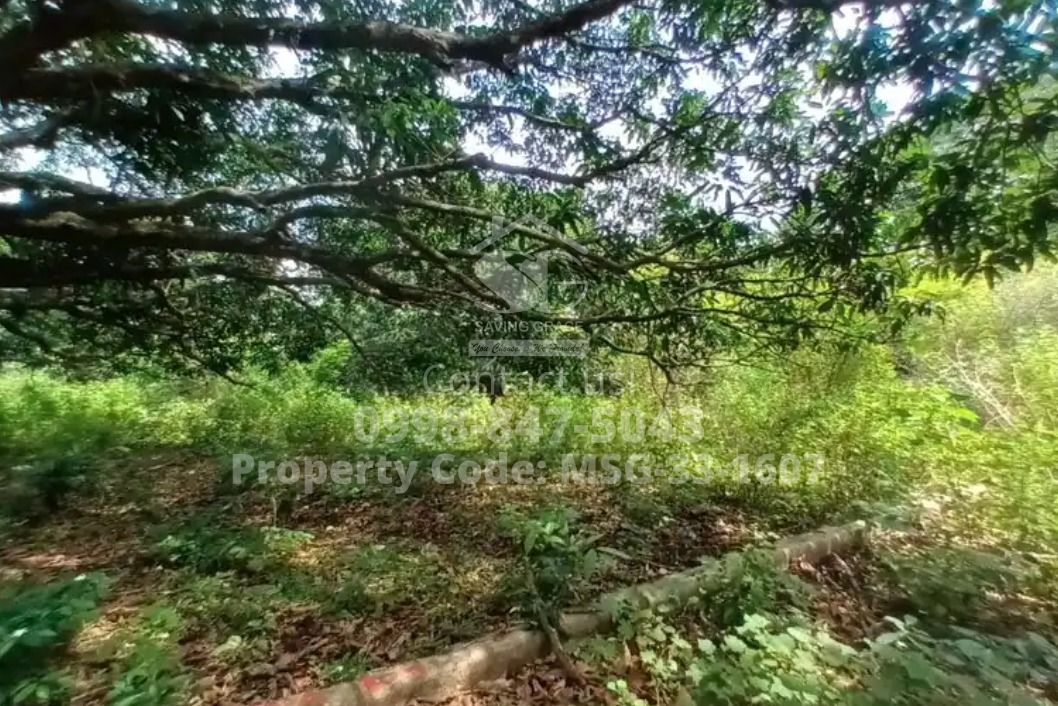 MSG-33-1607: For Sale Residential Lot in Mango Orchard Residential and ...