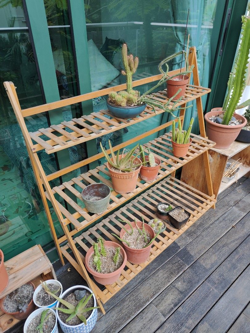 Plant racks, vases and plants, Furniture & Home Living, Gardening ...