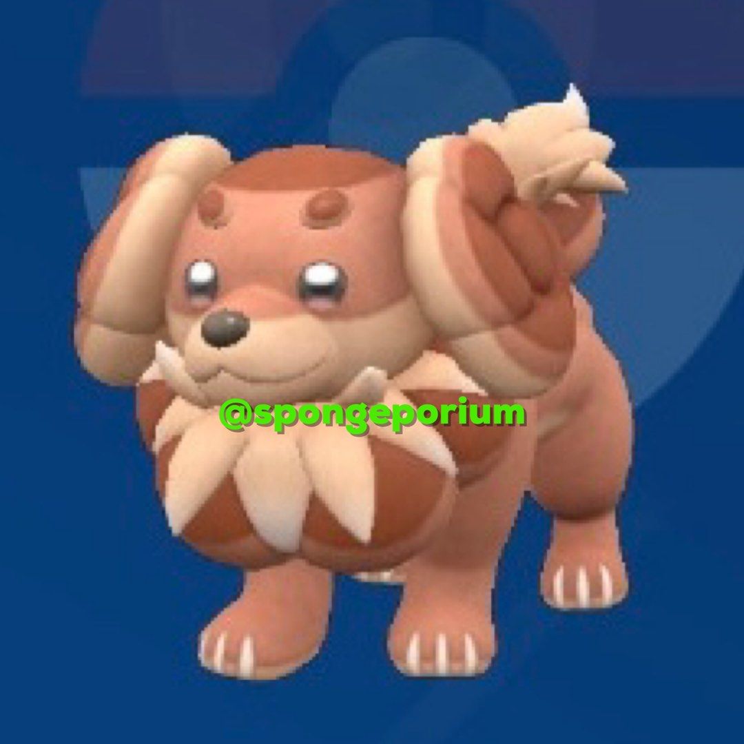 Shiny Dachsbun (Pokemon Scarlet & Violet) (Nintendo Switch), Video ...