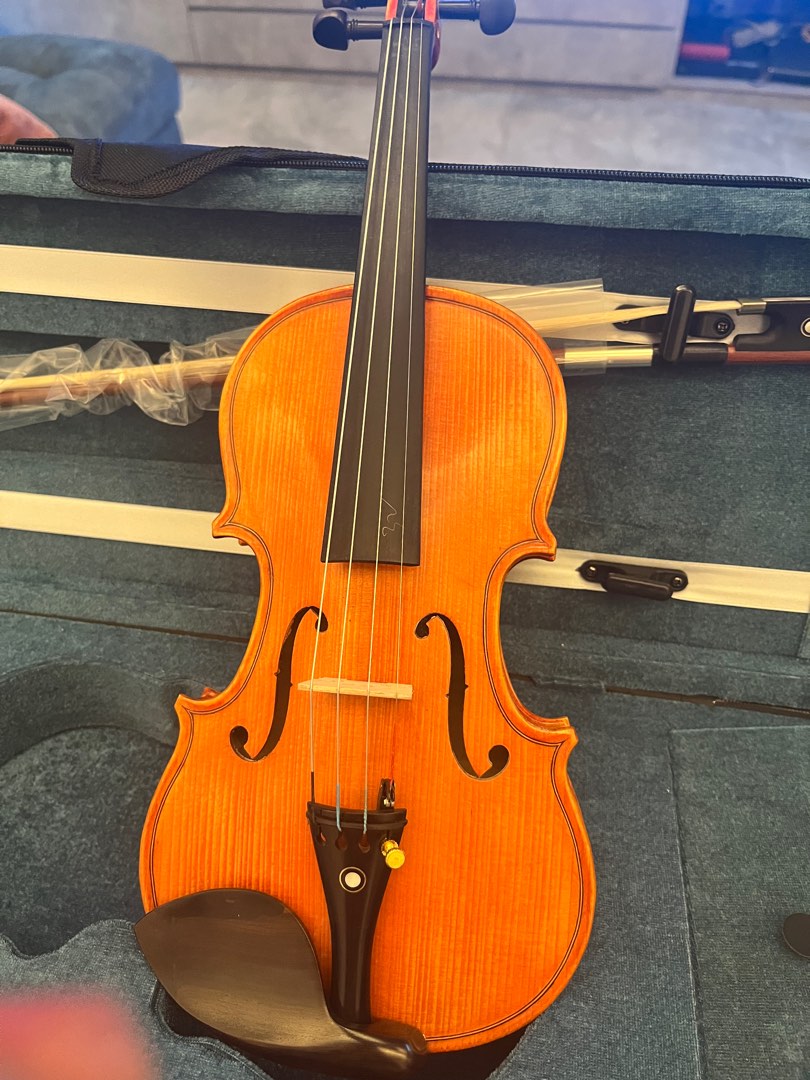 Very Beautiful 1/4 violin one piece back, Hobbies & Toys, Music & Media ...