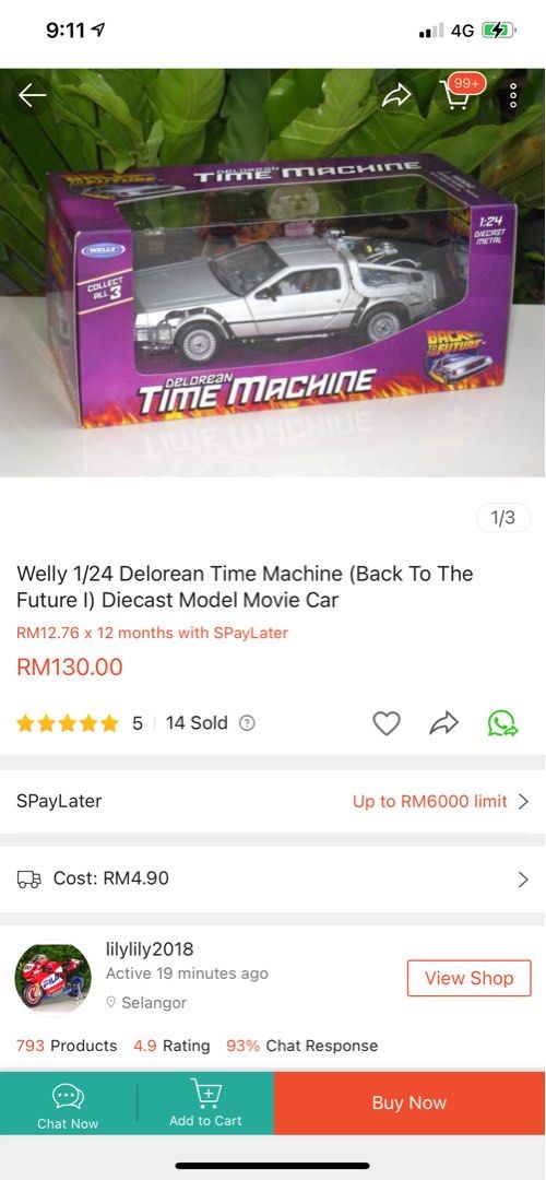 Welly Die Cast Metal Time Machine Back to The Future Scale 1/24 ...