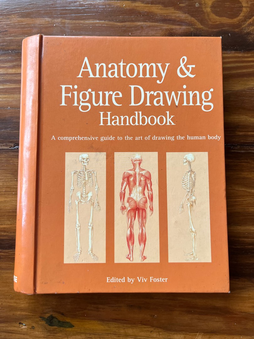 Anatomy & Figure Drawing Handbook, Hobbies & Toys, Books & Magazines ...