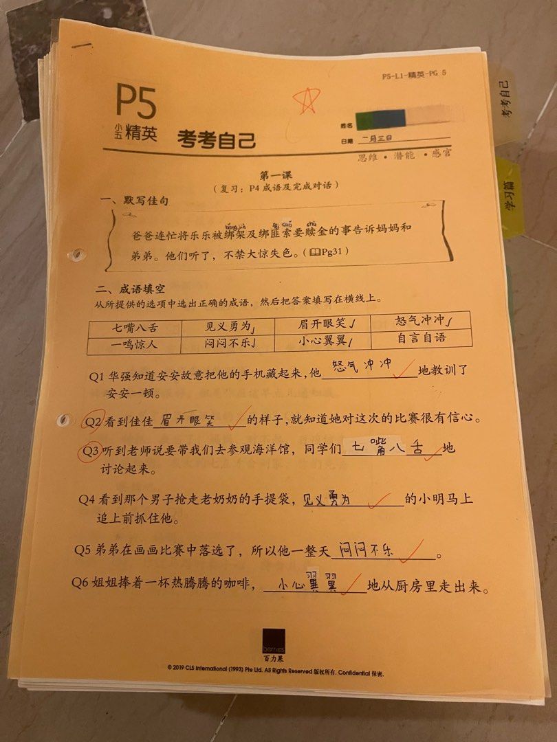 Berries P5 Higher Chinese Notes, Hobbies & Toys, Books & Magazines ...