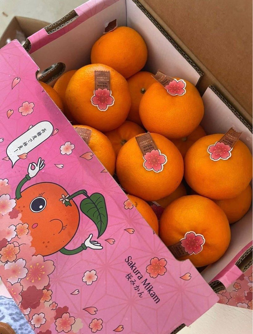 BNIB Brand New in Box CNY Chinese New Year 2023 Rabbit Orange Mamdarin ...