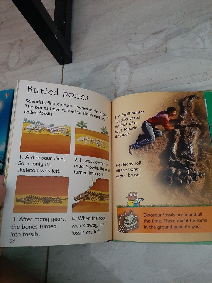 Buku usborne dinosaurs, Buku & Alat Tulis, Buku Anak-Anak di Carousell